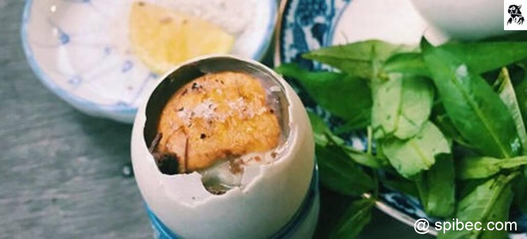 Le balut (Hot Vit Lon)