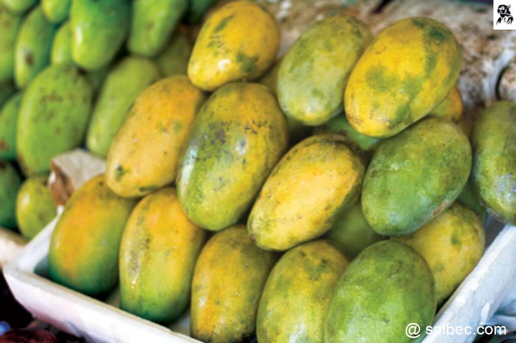 Les Fruits Sri Lankais - Les fruits par pays